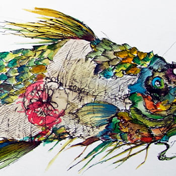 Marine Conservation Art – Janavi Mahimtura Folmsbee | Marine ...
