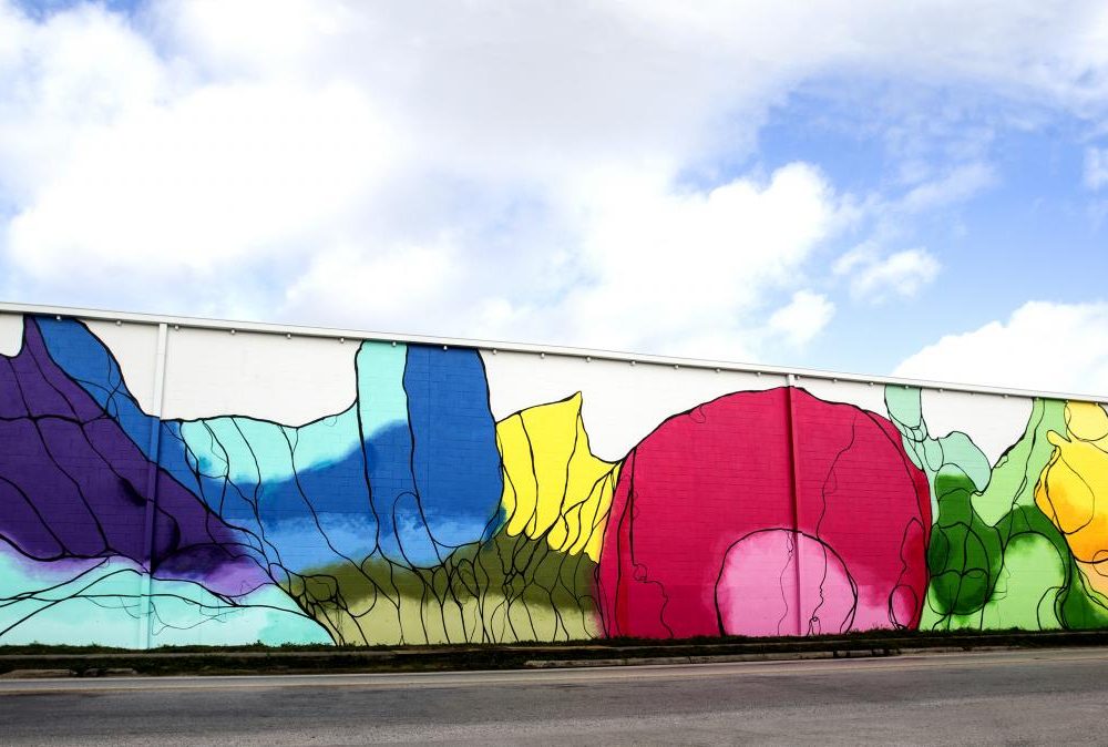 Houston Public Artist – Janavi Mahimtura Folmsbee | Marine Conservation ...