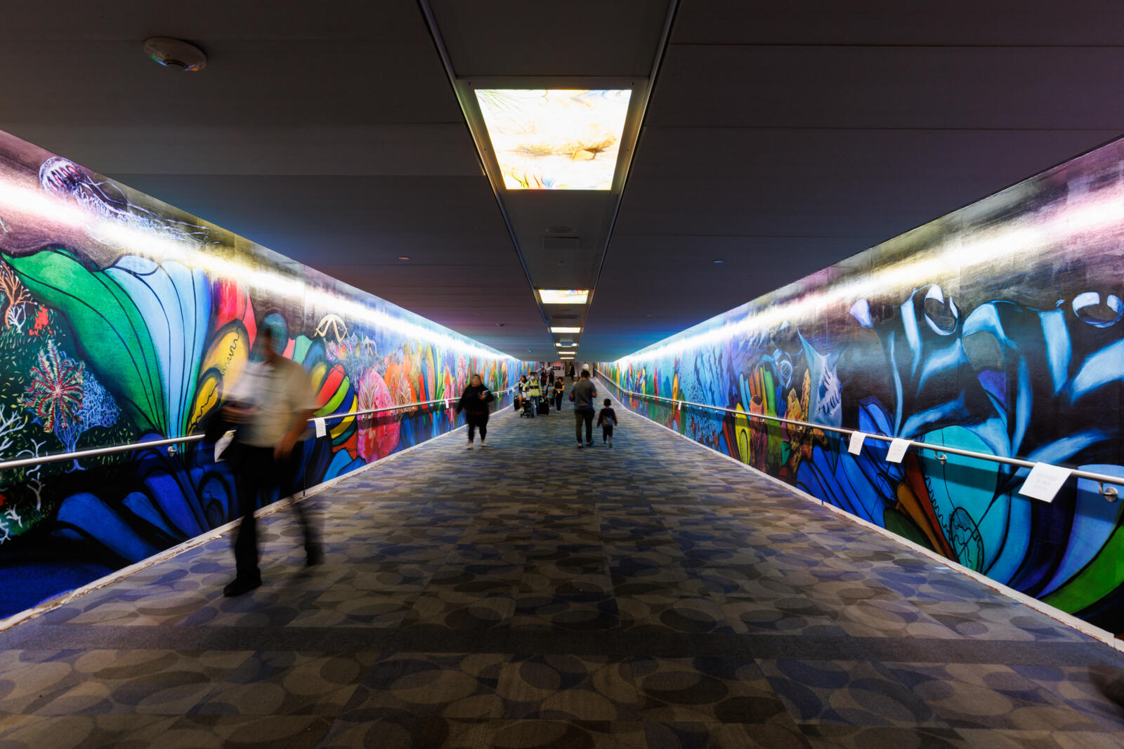 Houston Public Artist – Janavi Mahimtura Folmsbee | Marine Conservation ...