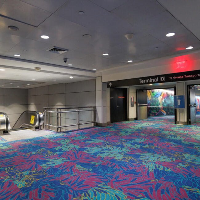 Houston Public Artist – Janavi Mahimtura Folmsbee | Marine Conservation ...