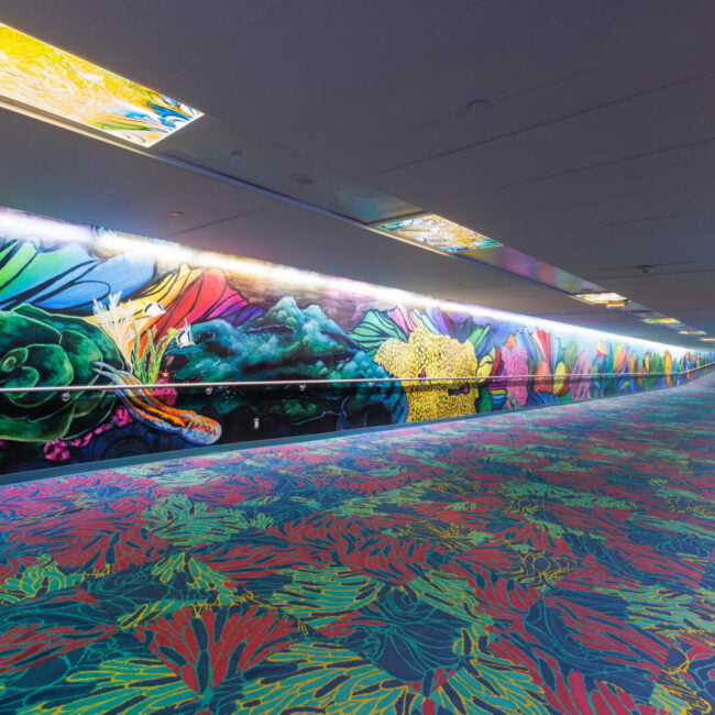 Houston Public Artist – Janavi Mahimtura Folmsbee | Marine Conservation ...