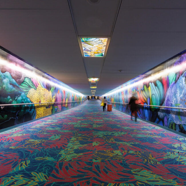 Houston Public Artist – Janavi Mahimtura Folmsbee | Marine Conservation ...