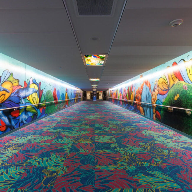 Houston Public Artist – Janavi Mahimtura Folmsbee | Marine Conservation ...