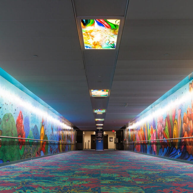 Houston Public Artist – Janavi Mahimtura Folmsbee | Marine Conservation ...