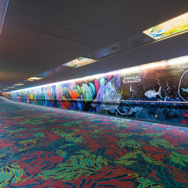 Houston Public Artist – Janavi Mahimtura Folmsbee | Marine Conservation ...