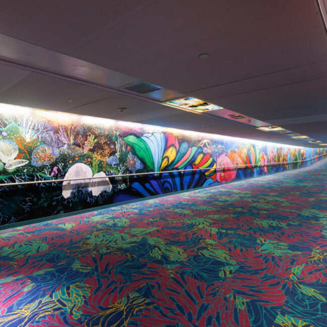 Houston Public Artist – Janavi Mahimtura Folmsbee | Marine Conservation ...