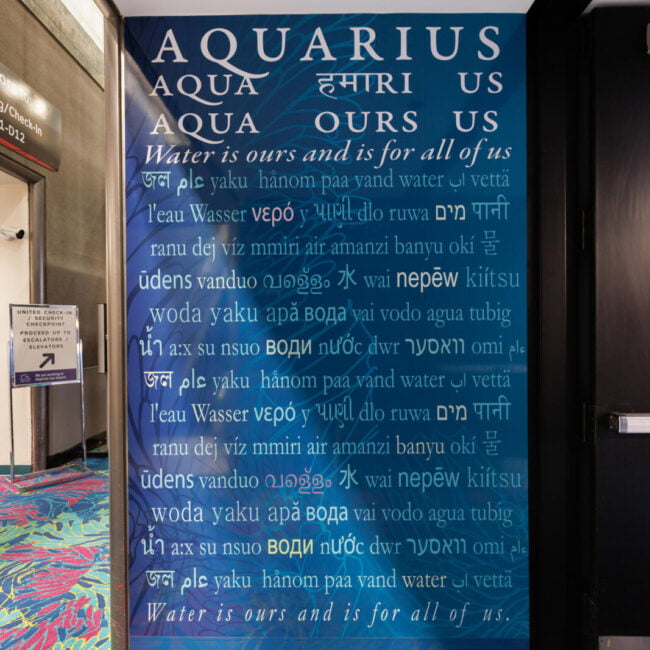 Houston Public Artist – Janavi Mahimtura Folmsbee | Marine Conservation ...