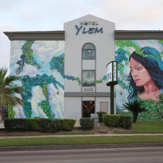 Houston Public Artist – Janavi Mahimtura Folmsbee | Marine Conservation ...