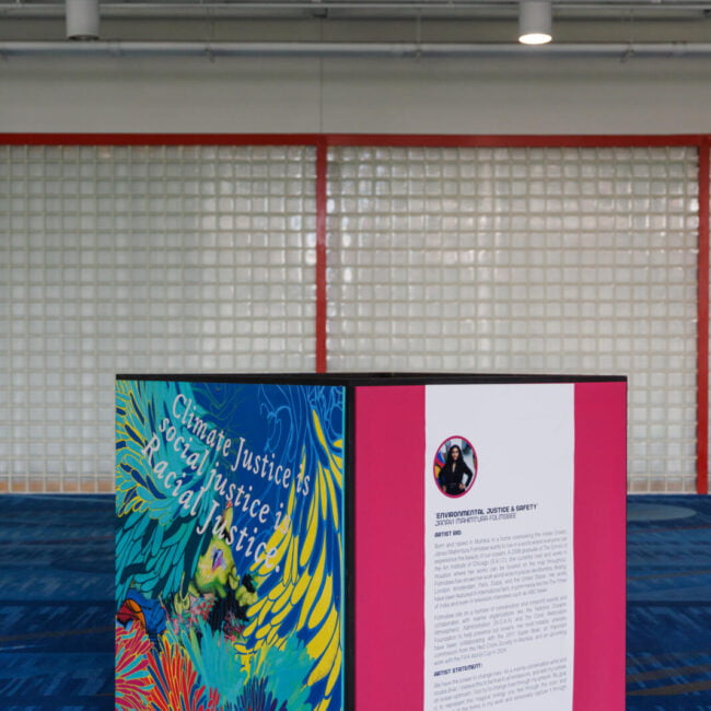 Houston Public Artist – Janavi Mahimtura Folmsbee | Marine Conservation ...