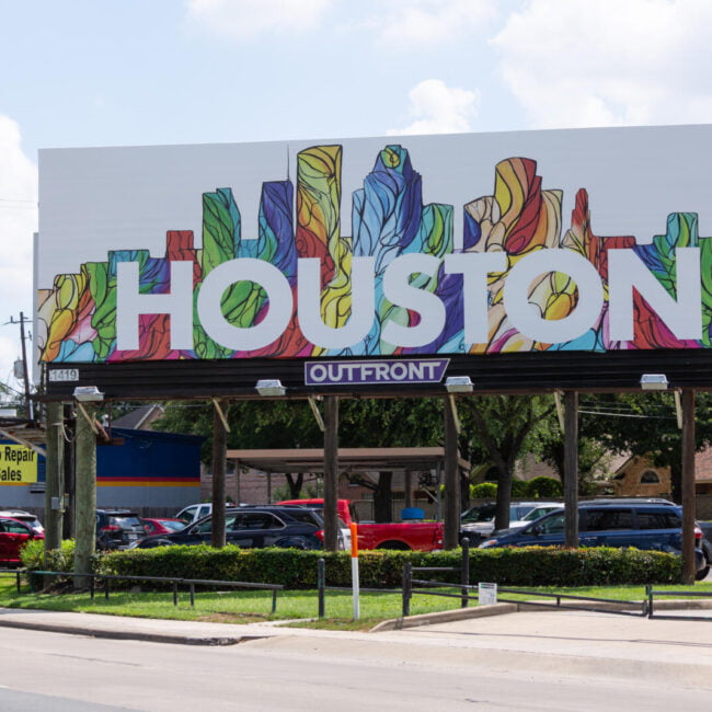 Houston Public Artist – Janavi Mahimtura Folmsbee | Marine Conservation ...